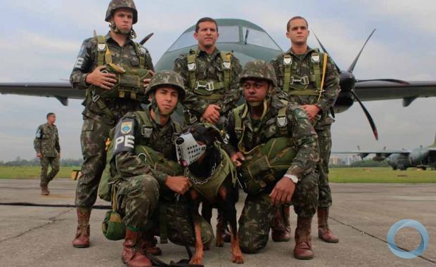 DefesaNet - Aviação - O Novo Recruta - Adam o Cão Pqd